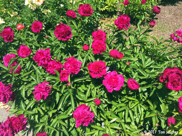 Our Month at Wisconsin State Fair RV Park | rvSeniorMoments