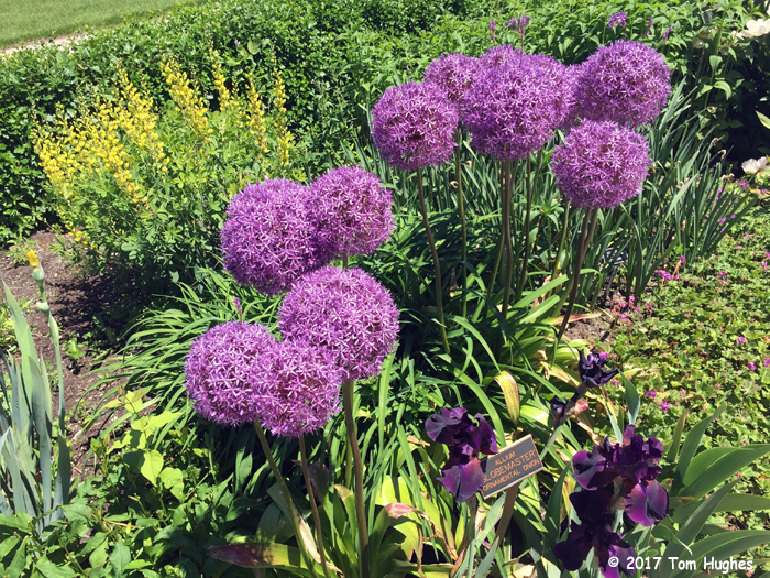 Our Month at Wisconsin State Fair RV Park | rvSeniorMoments