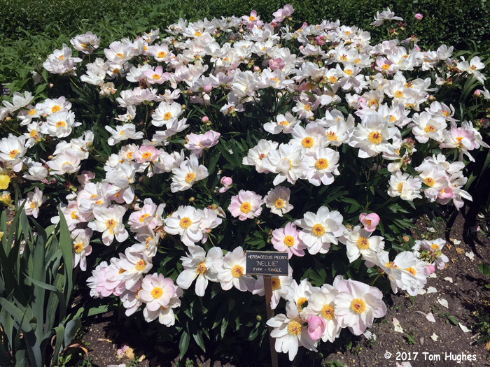 Our Month at Wisconsin State Fair RV Park | rvSeniorMoments